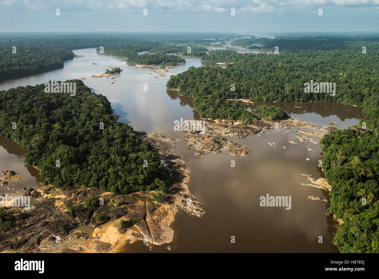 River in rainforest, Essequibo River, Guyana Stock Photo - Alamy