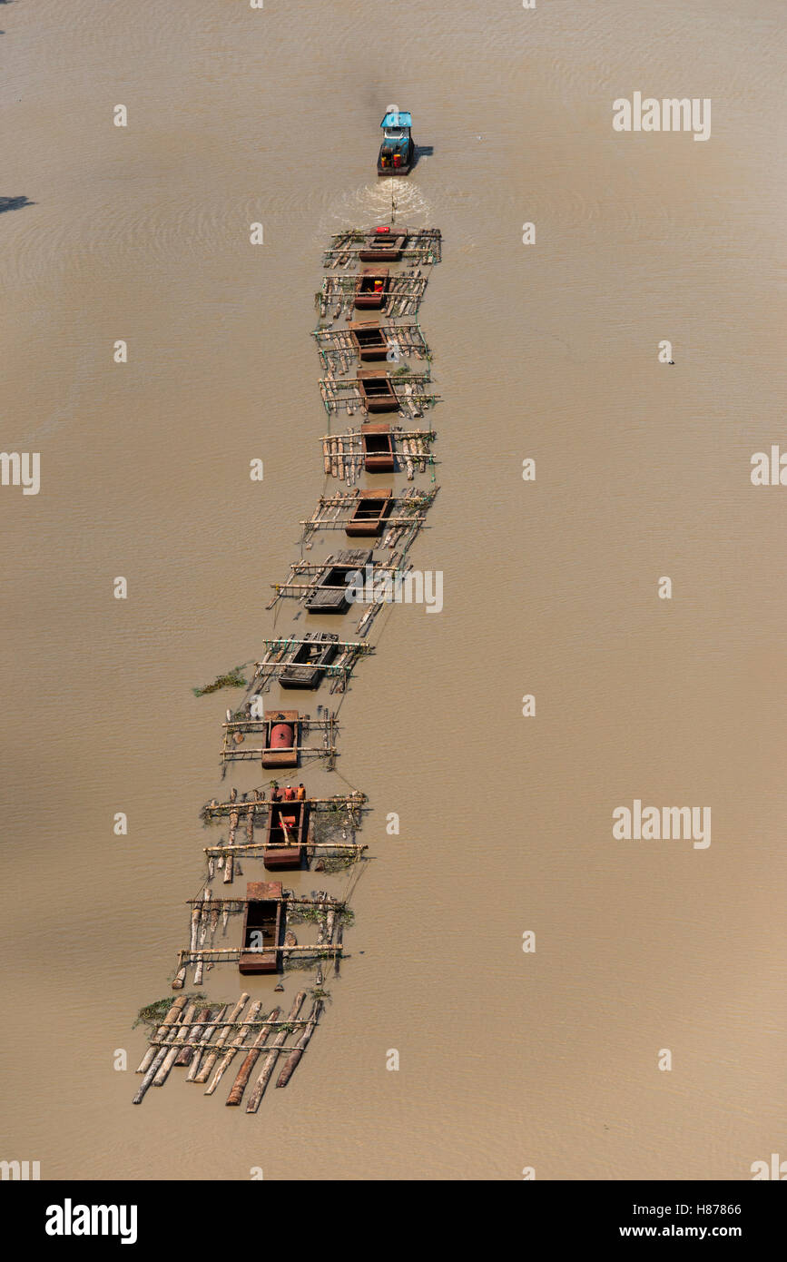 Logs being pulled on river, Canje River, Guyana Stock Photo - Alamy