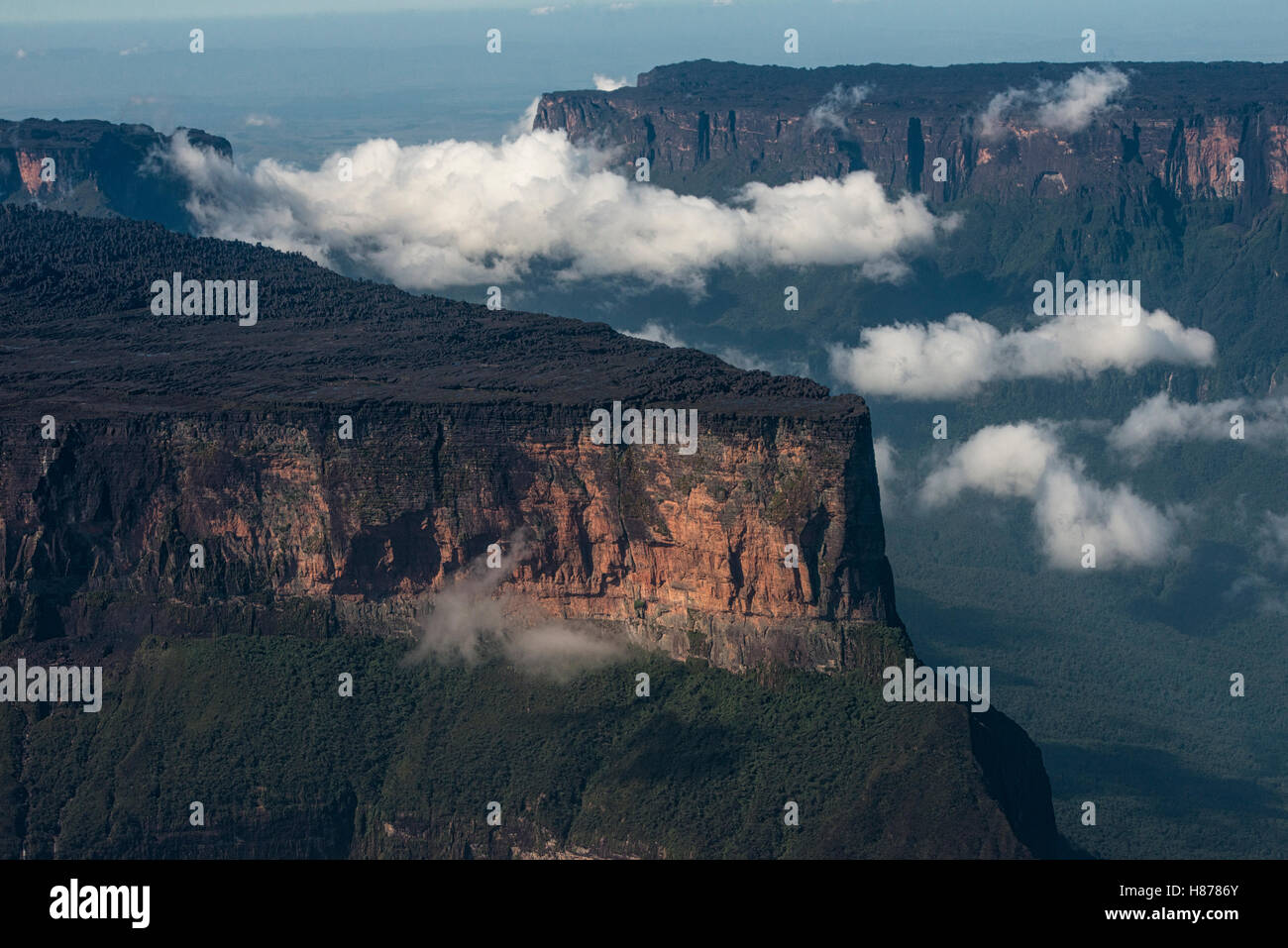 Clouds between tepuis, Mount Roraima, Pacaraima Mountains, Guyana Stock ...