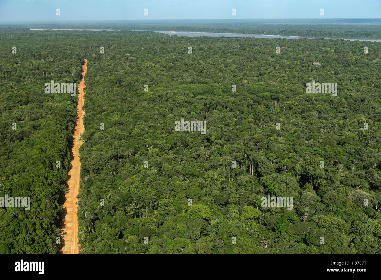 Dirt road in rainforest, Rupununi, Guyana Stock Photo - Alamy