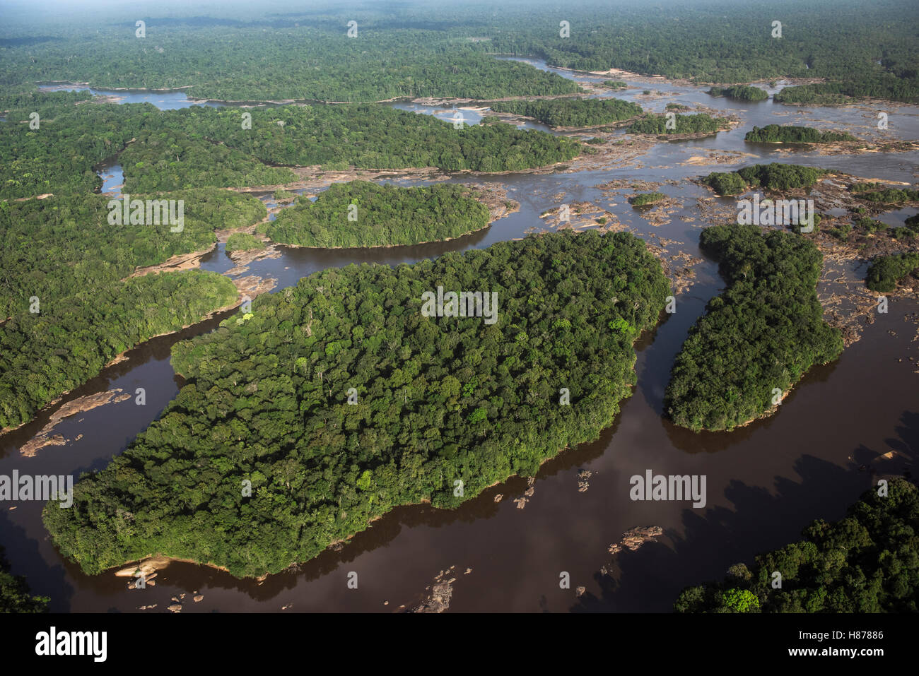 Essequibo River in rainforest, Guyana Stock Photo - Alamy