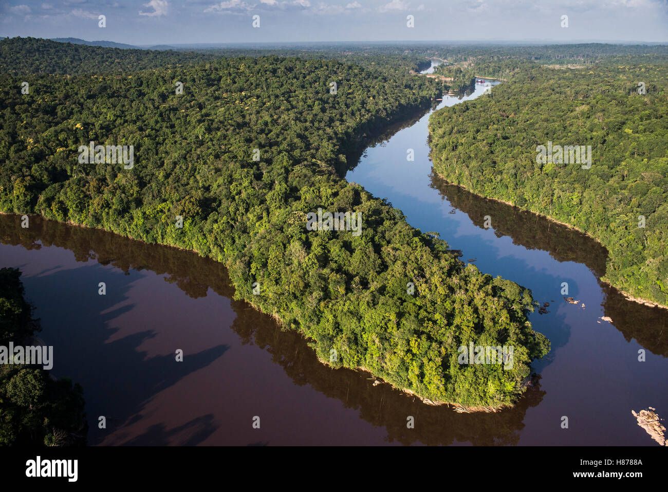 River in rainforest, Kaieteur Falls, Potaro River, Kaieteur National ...