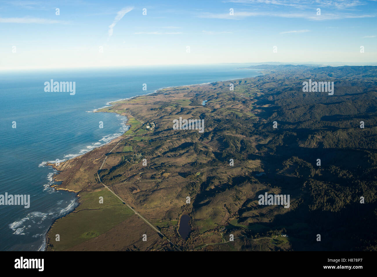 Coniferous forest and northern coastal prairies near coast, Santa Cruz ...
