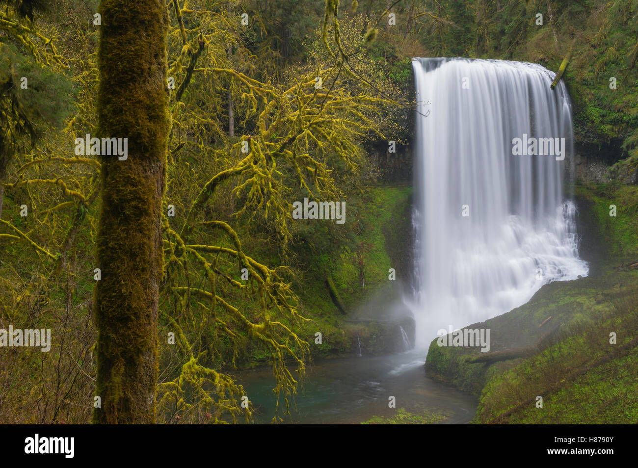 Waterfall in forest, Oregon Stock Photo - Alamy