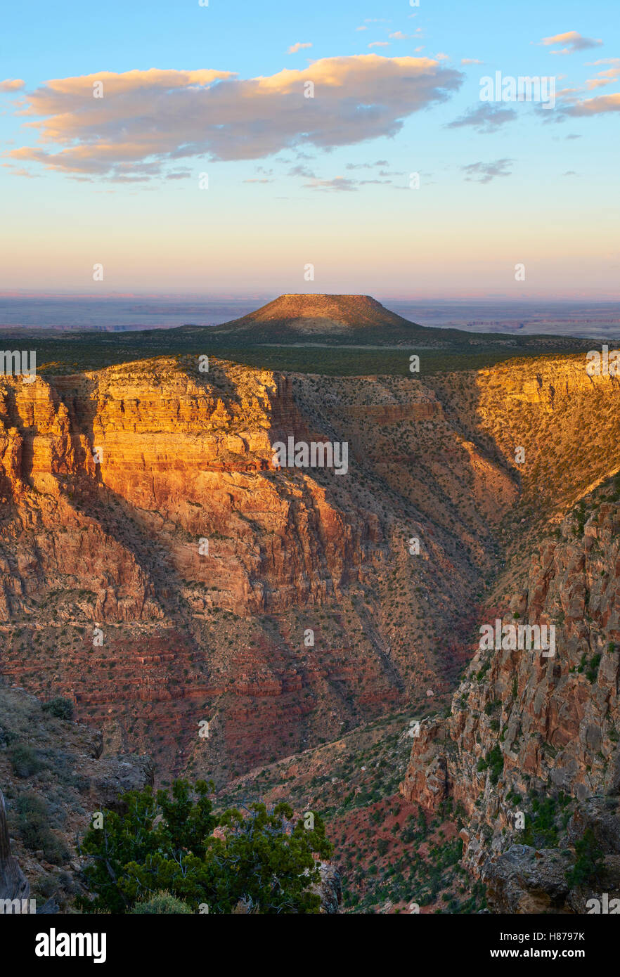 Butte and canyon cliffs, Grand Canyon, Desert View Overlook Overlook ...
