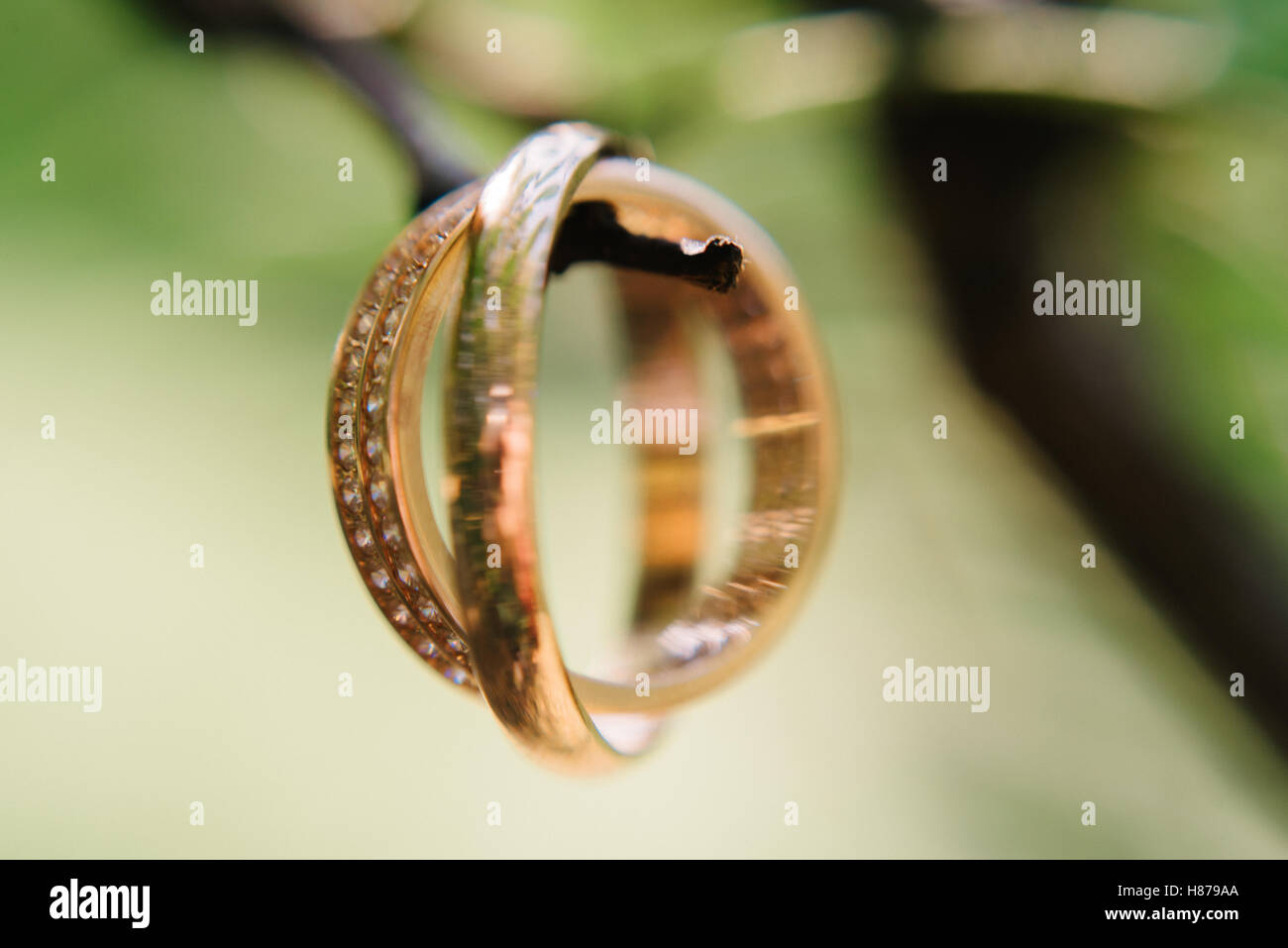 Elegant wedding rings hang from the branch Stock Photo - Alamy