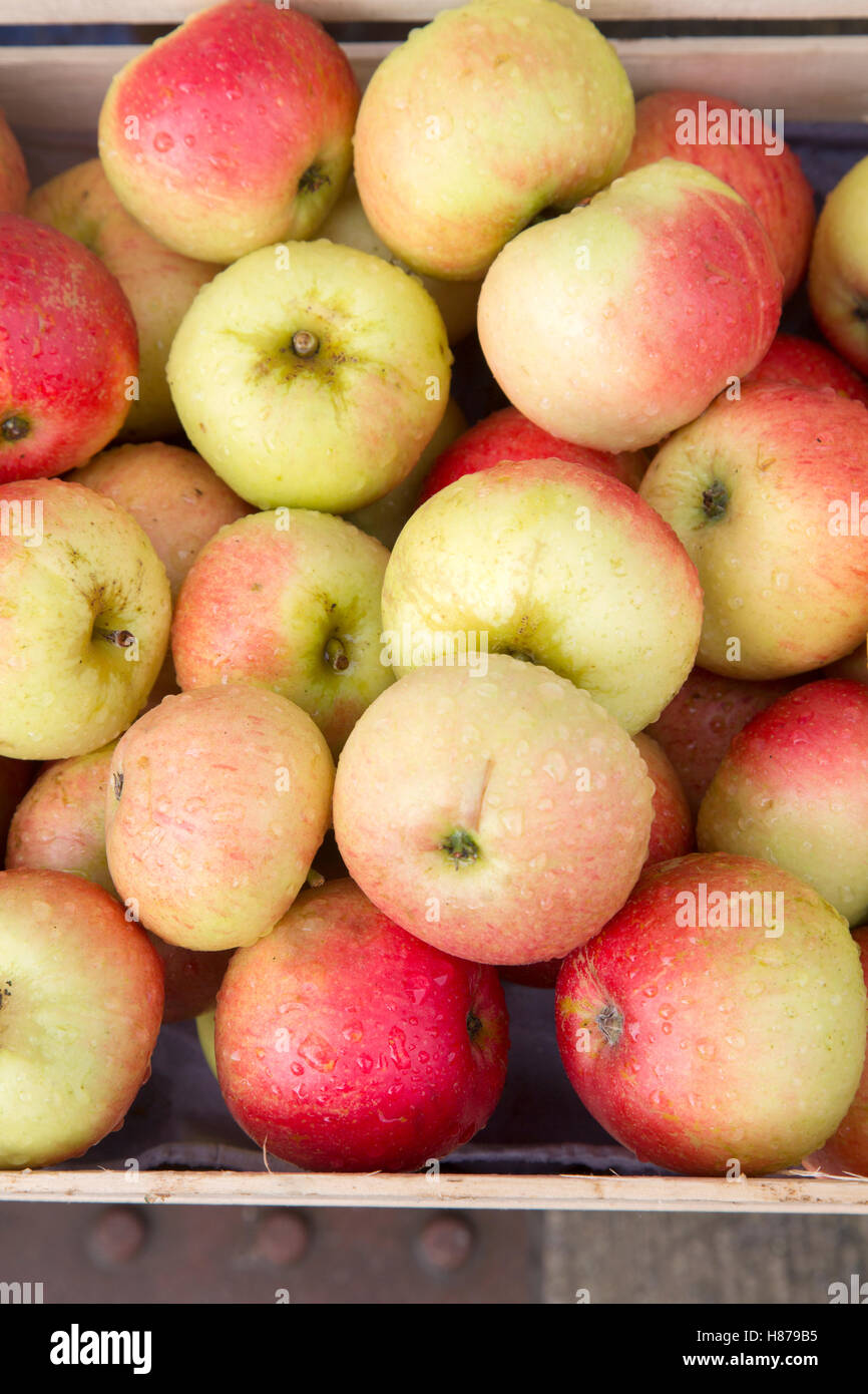 Close Up of Apple Fruit Background Stock Photo - Alamy