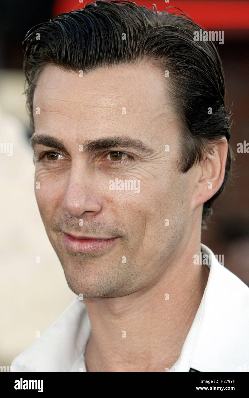 Daniel bernhardt hi-res stock photography and images - Alamy