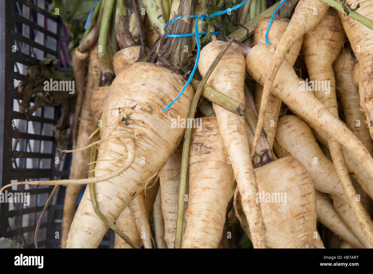 Close Up of Parsnip Vegetable Background on Market Stall Stock Photo ...