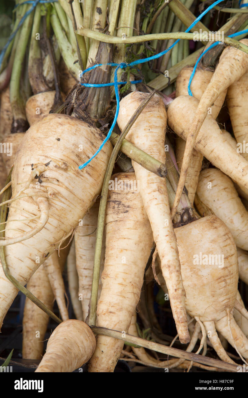 Close Up of Parsnip Vegetable Background on Market Stall Stock Photo ...