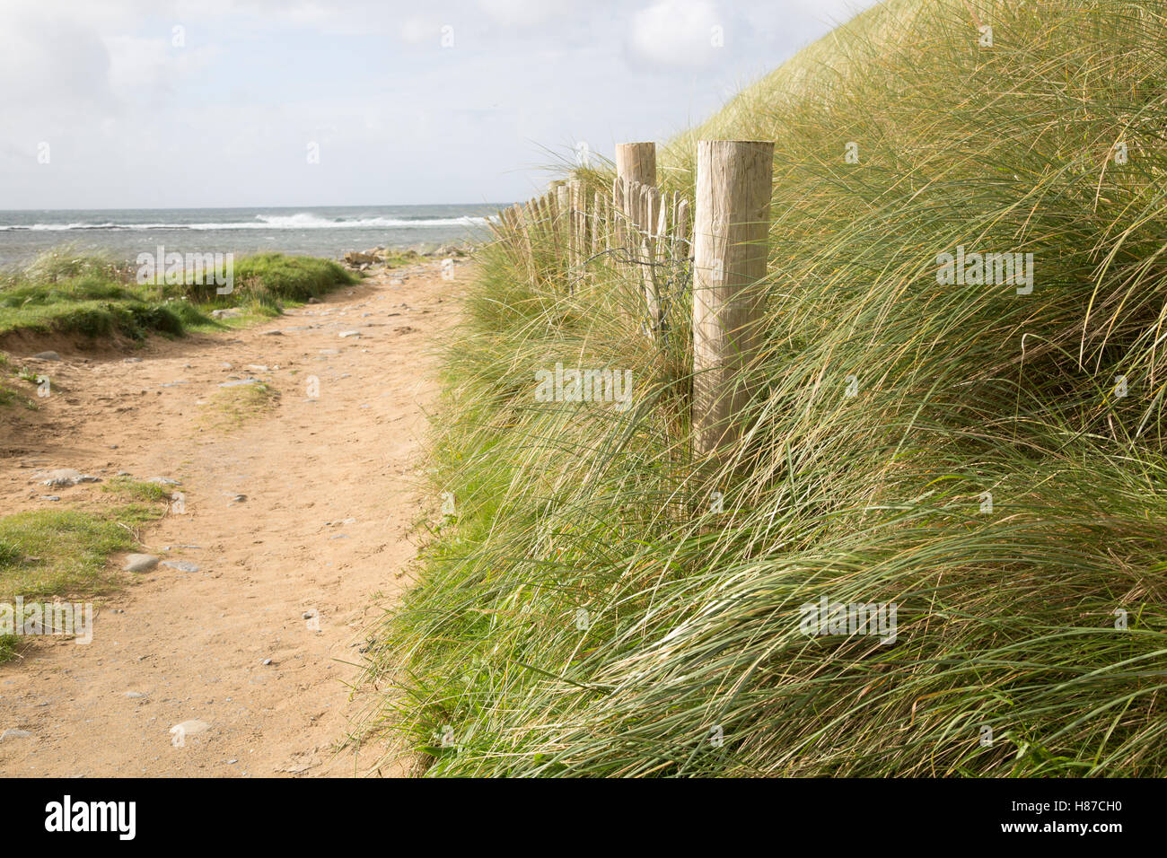 Footpath to Beach, Clare, Ireland Stock Photo - Alamy