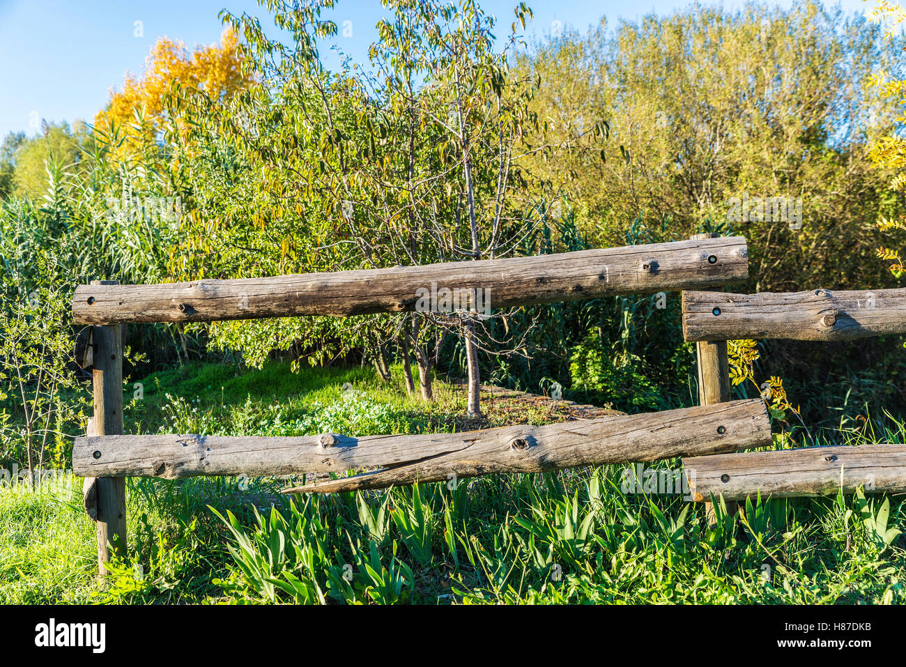 Old wooden fence in the field in Spain Stock Photo - Alamy