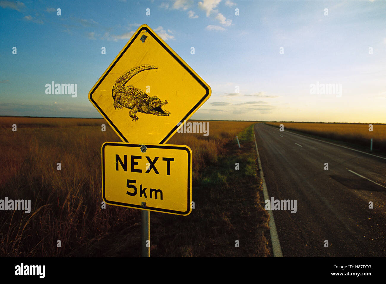Saltwater Crocodile (Crocodylus porosus) road sign warning drivers of ...