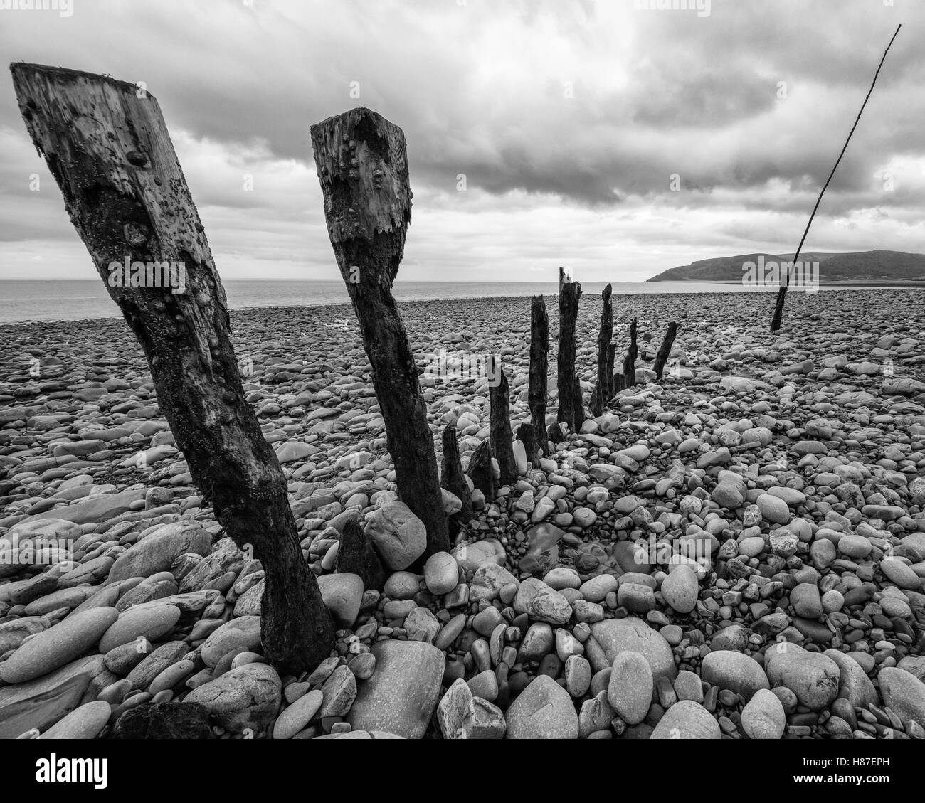 Timber groynes Black and White Stock Photos & Images - Alamy