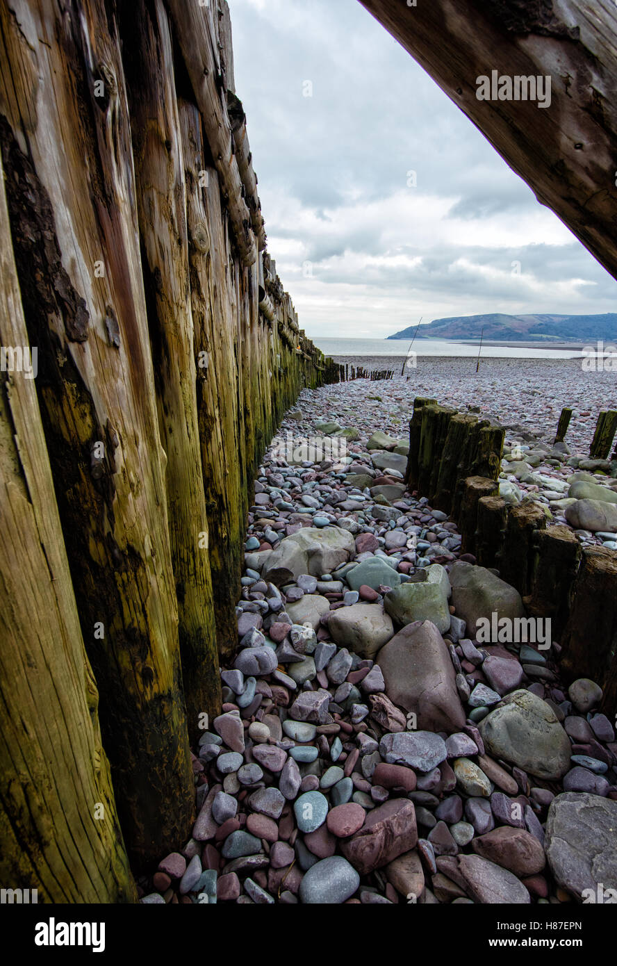 Timber groynes and shingle beach looking towards Hurlstone Point at ...