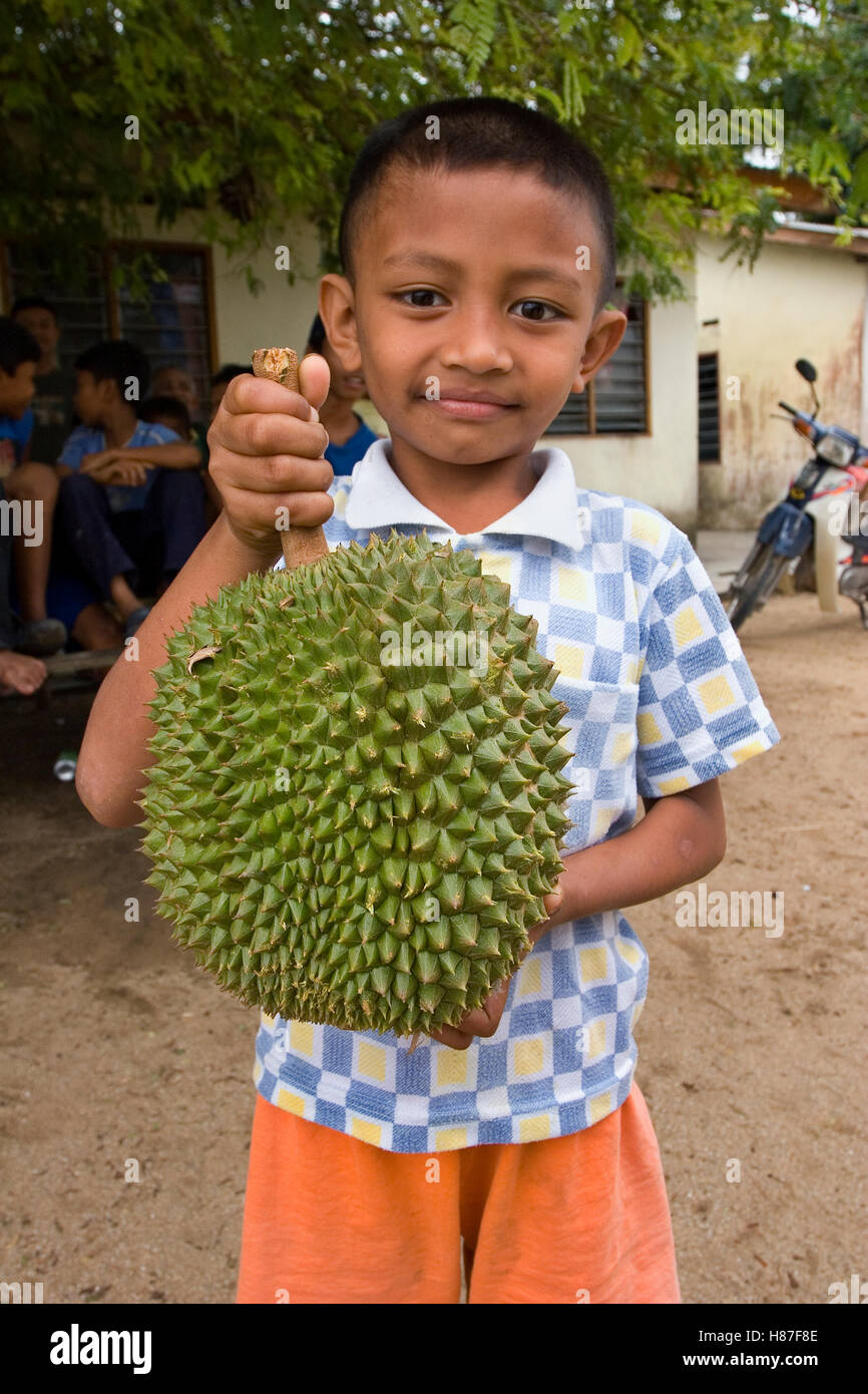 Durian (Durio zibethinus) fruit held by a young Orang Asli boy in ...