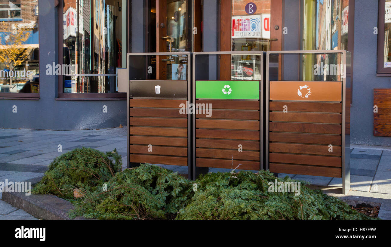 Tree compartment trash including compost and recycling, downtown in ...