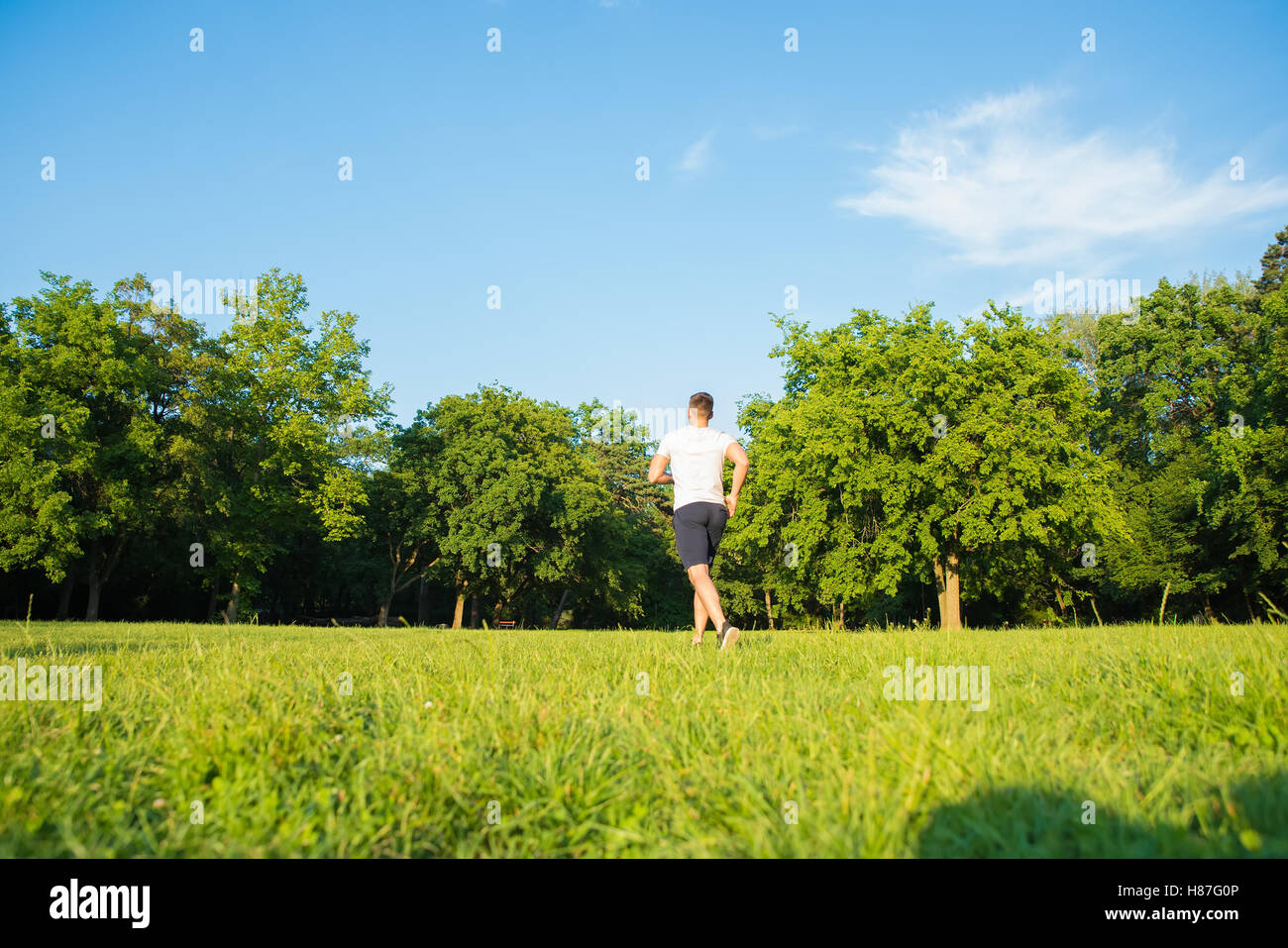 A handsome young man running on a summer evening in a park Stock Photo ...