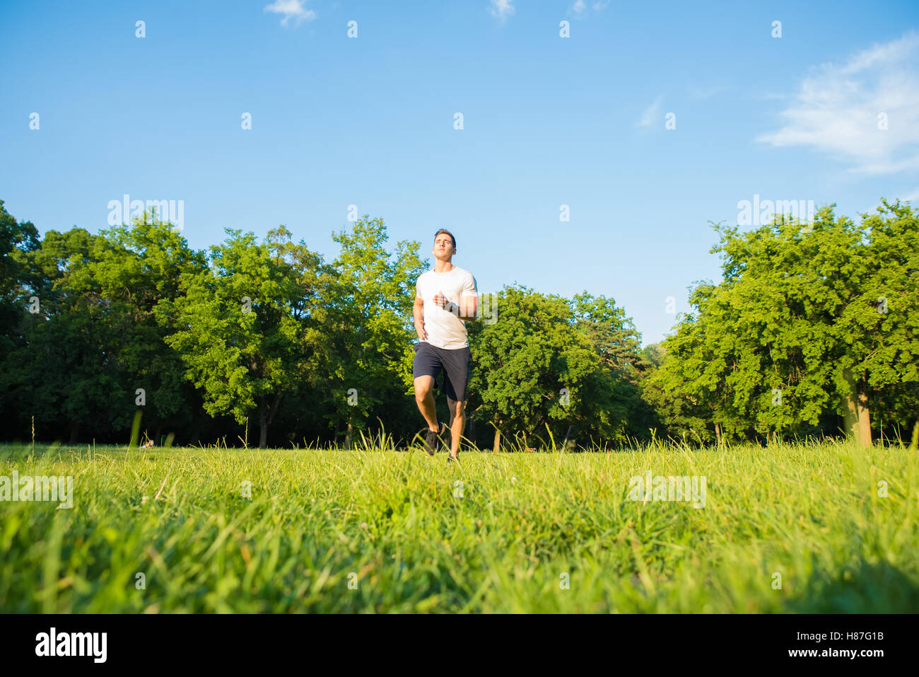 A handsome young man running on a summer evening in a park Stock Photo ...