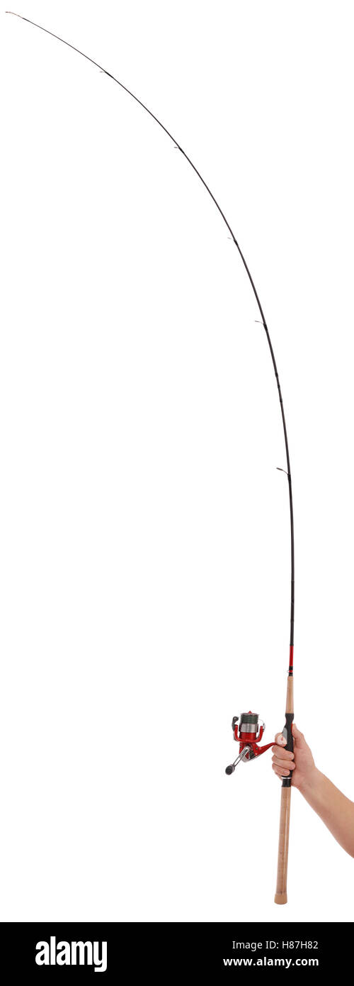 Tackle for summer fishing. Curved ultra light fishing rod for catching ...