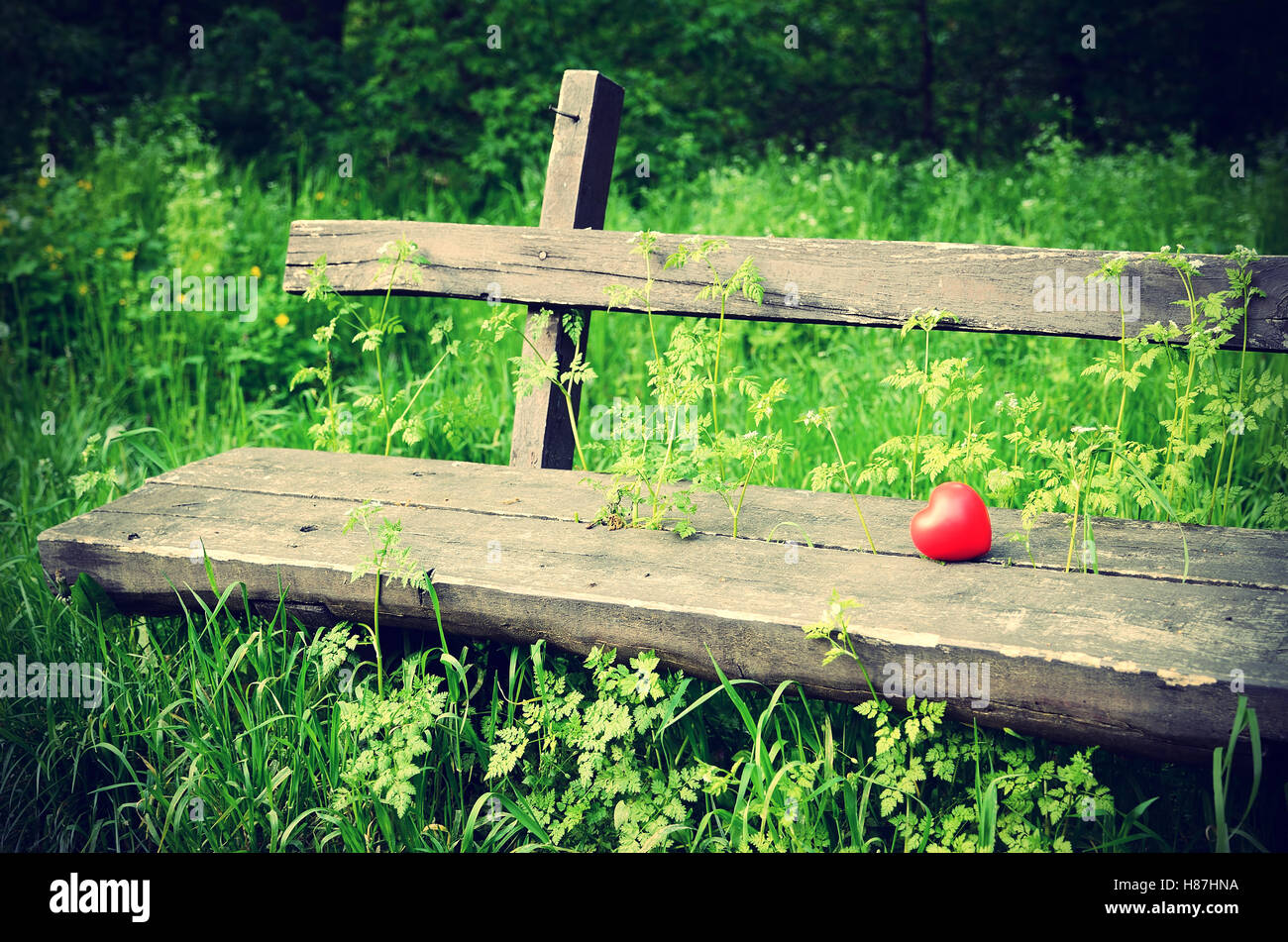 Photo of abandoned bench with heart shape in the park Stock Photo - Alamy
