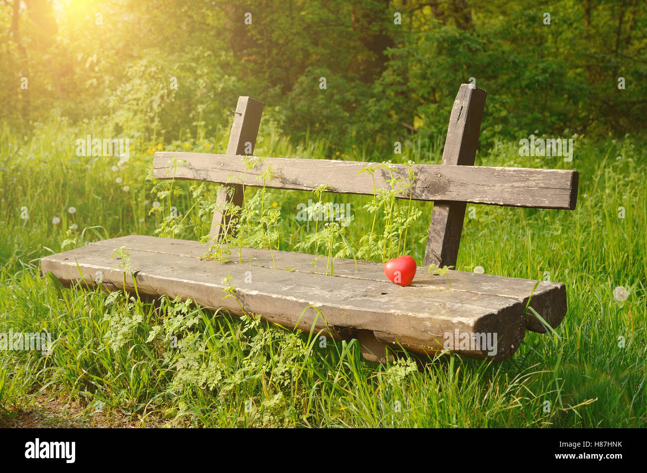 Photo of abandoned bench with heart shape in the park Stock Photo - Alamy