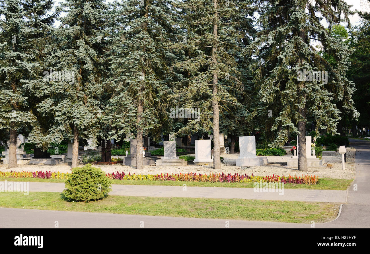 Tombstones in the cemetery, detail Stock Photo - Alamy