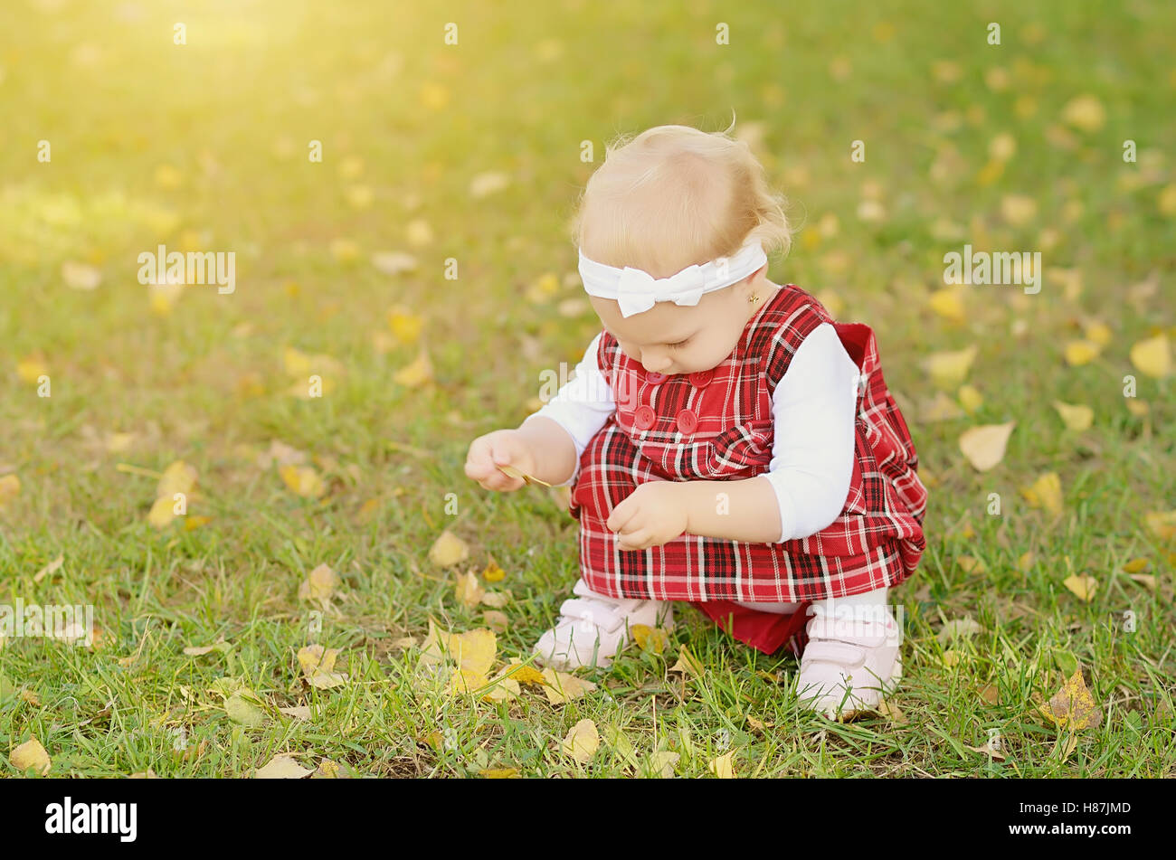 Toddler girl on the early autumn field Stock Photo - Alamy