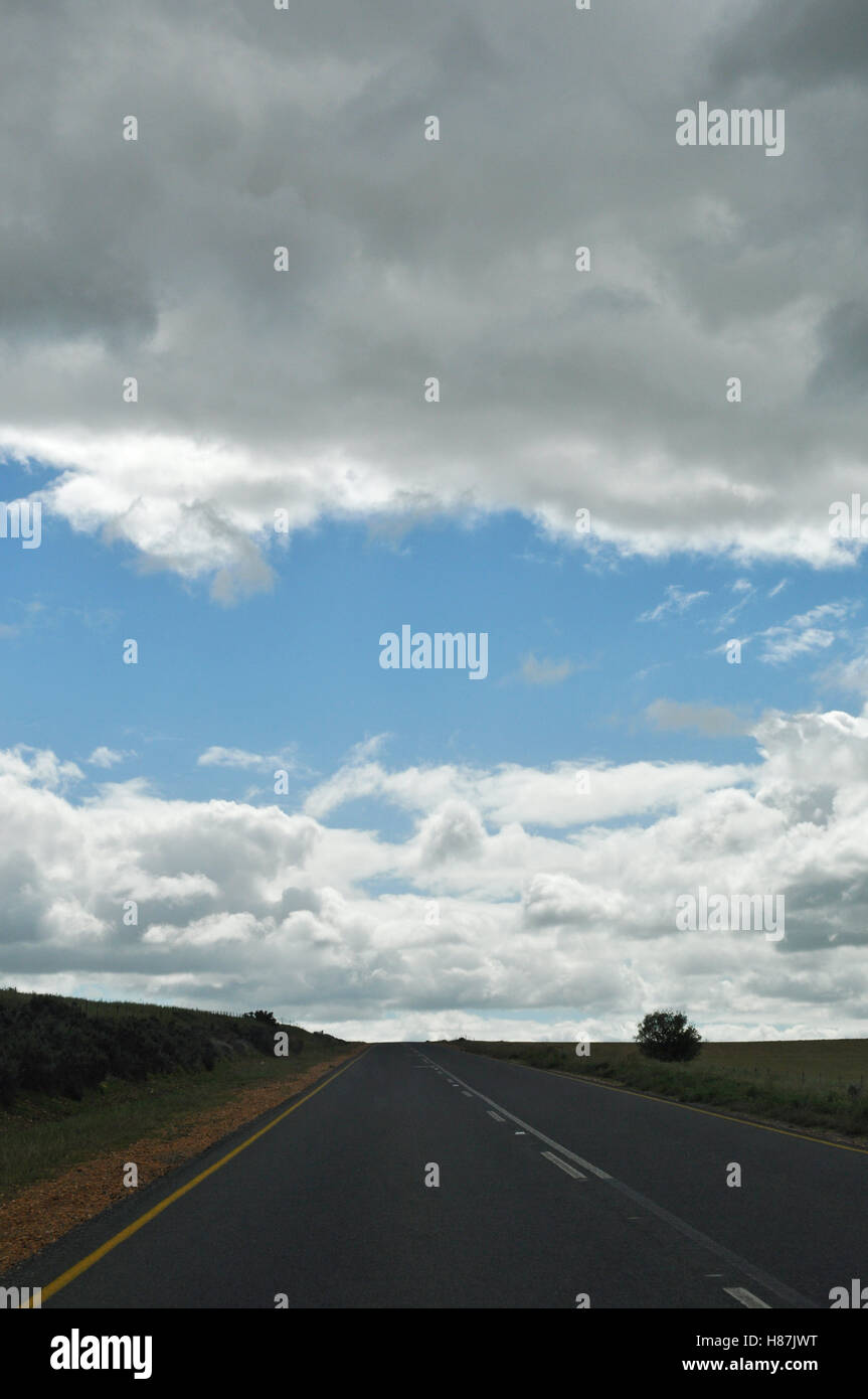 South Africa, driving on the road: landscape seen from the N2, Garden ...