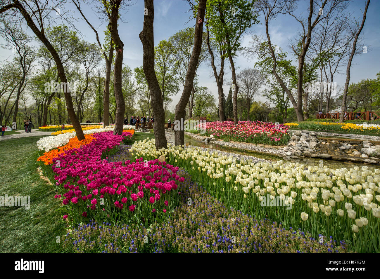 Tulip Emirgan Park Istanbul High Resolution Stock Photography and ...