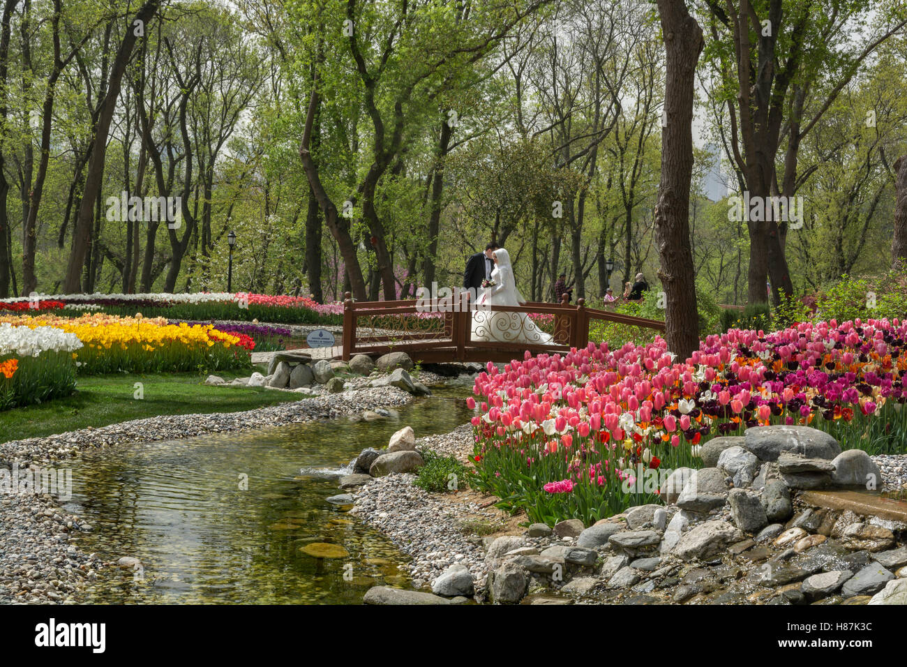 Emirgan park hi-res stock photography and images - Alamy