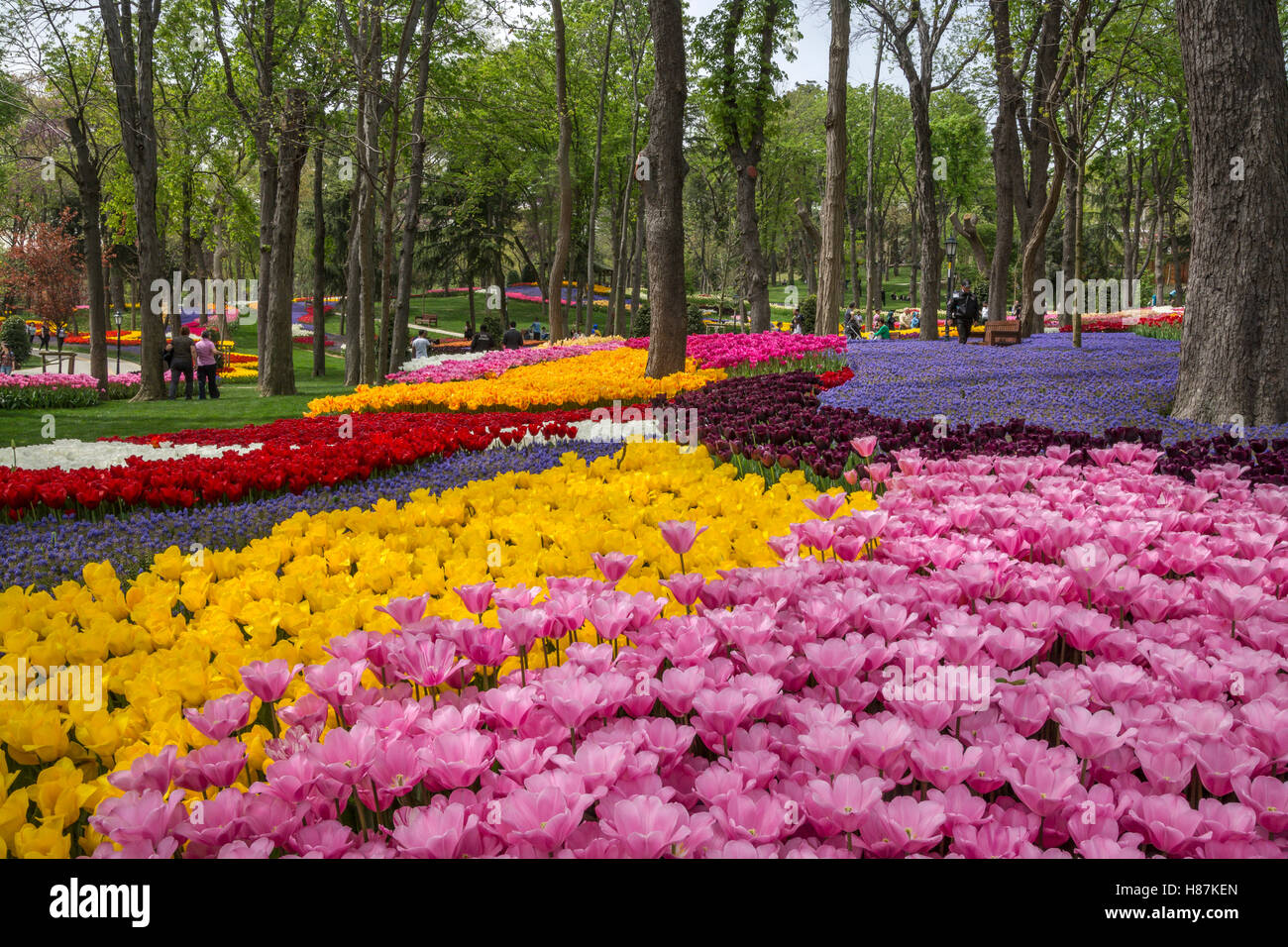 The Emirgan Park in Istanbul,Turkey Stock Photo - Alamy