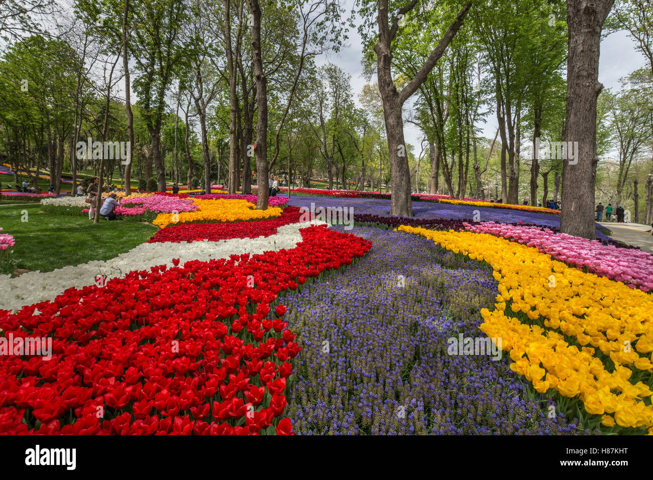 Emirgan Park