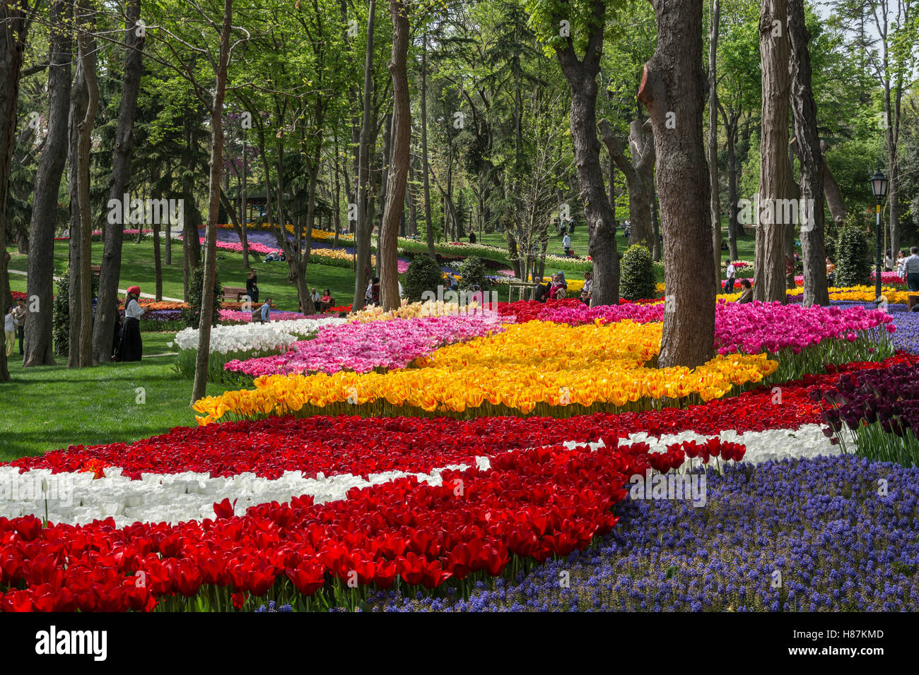 The Emirgan Park in Istanbul,Turkey Stock Photo - Alamy