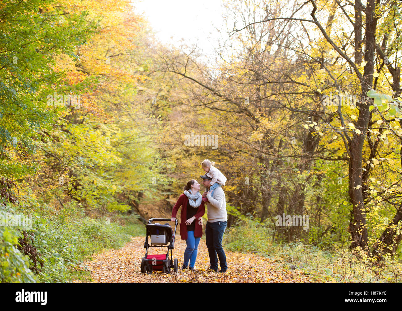 Beautiful young family on a walk in autumn forest Stock Photo - Alamy