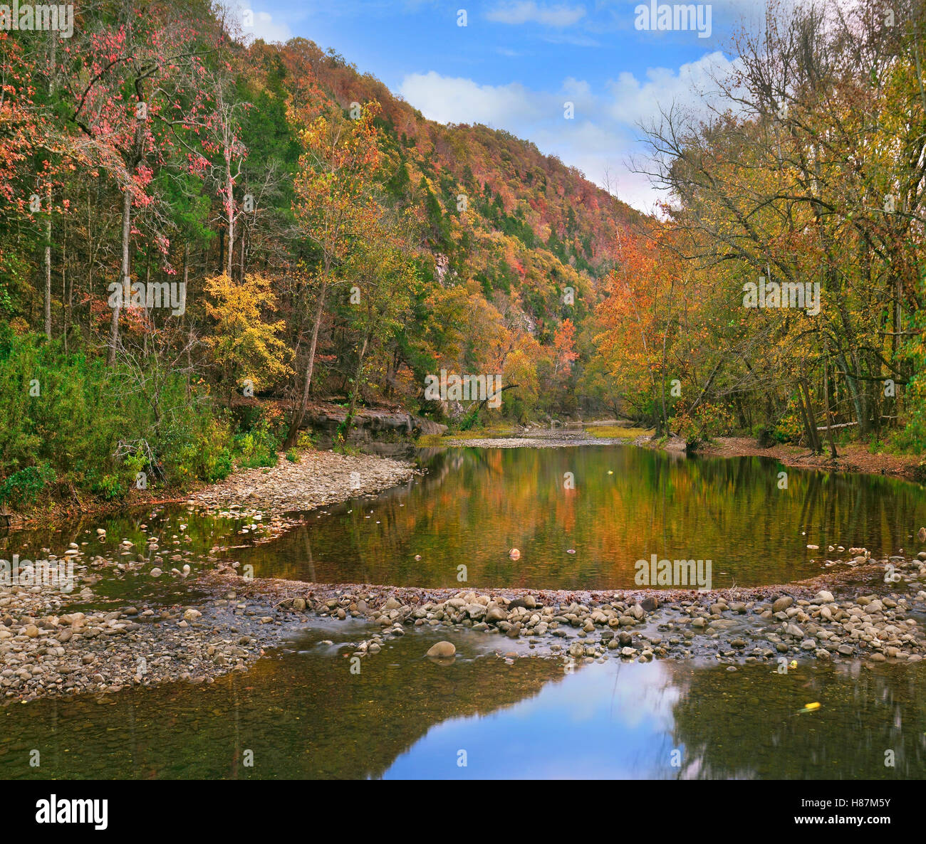 Deciduous forest and river in fall, Buffalo National River, Arkansas ...