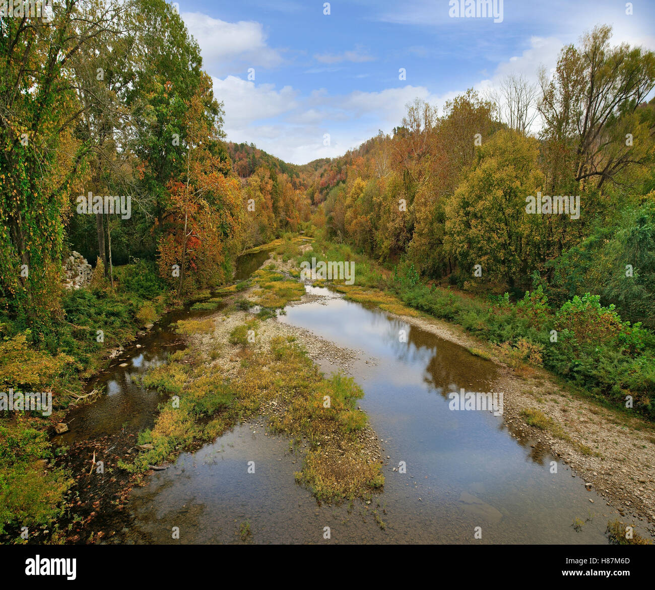 Deciduous forest and river in fall, Little Buffalo River, Buffalo ...