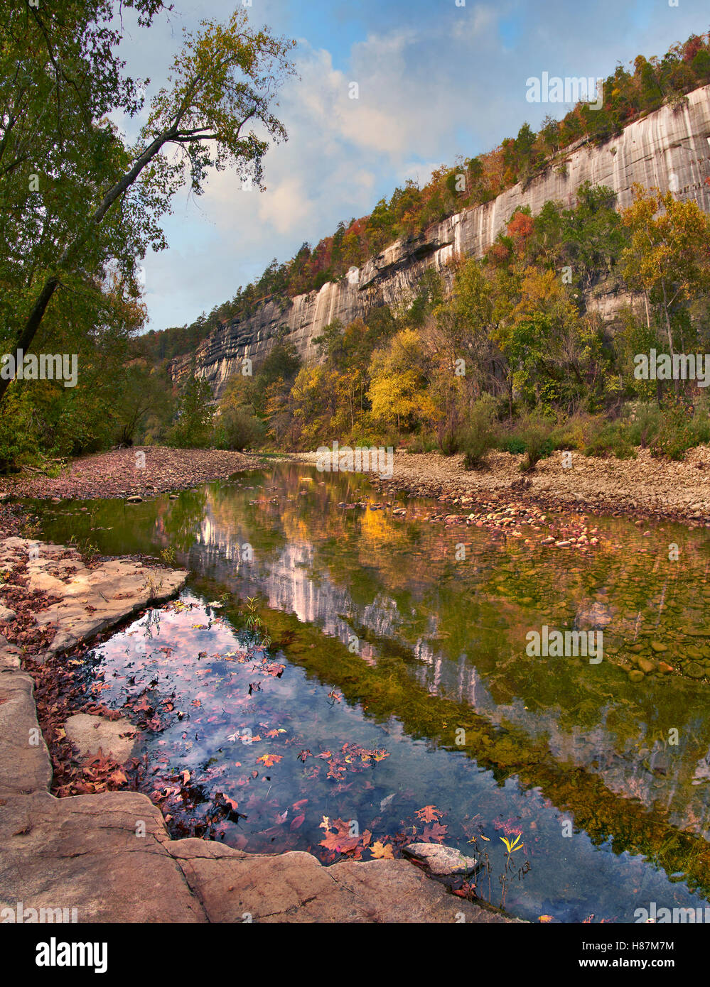 Deciduous forest and river in fall, Buffalo National River, Arkansas ...