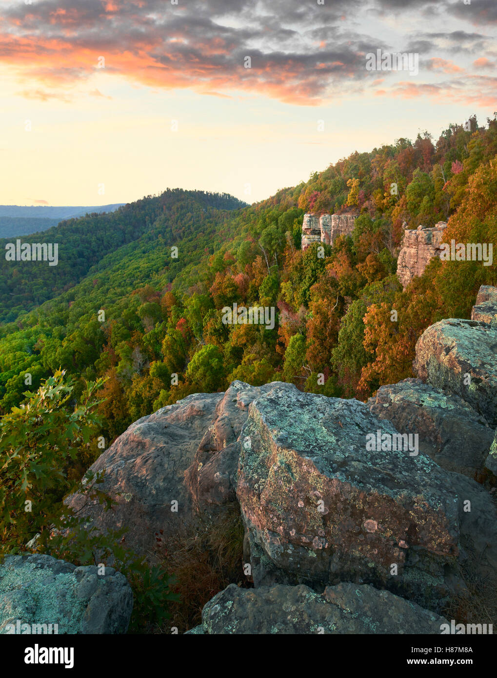 Deciduous forest in fall, Ozark-Saint Francis National Forest, Arkansas ...