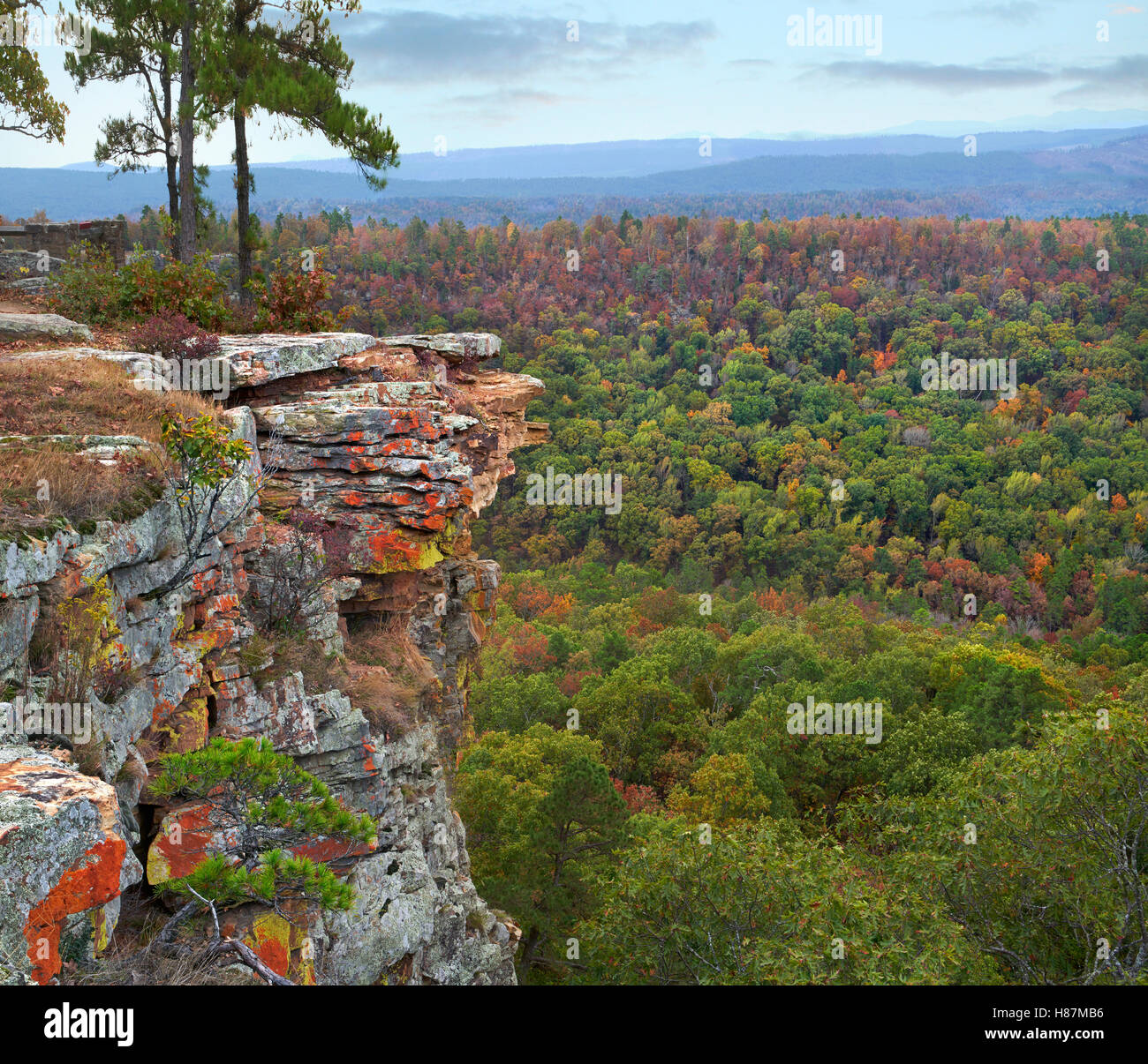 Deciduous forest and cliff in fall, Petit Jean State Park, Arkansas ...
