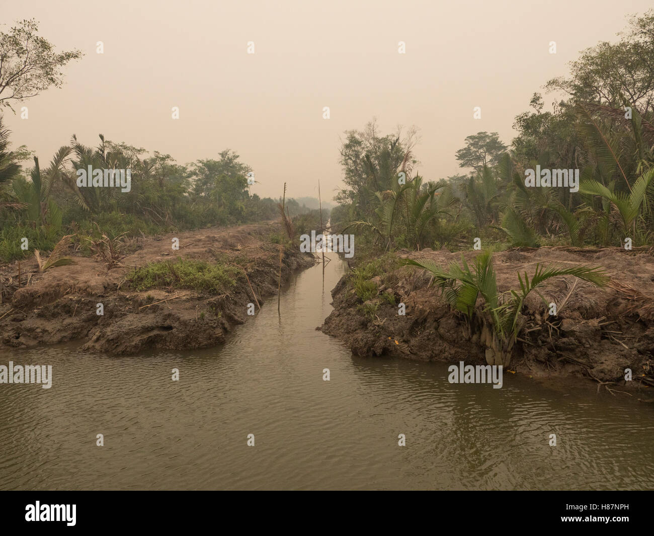 Irrigation channel through oil palm plantation in dense haze caused by ...