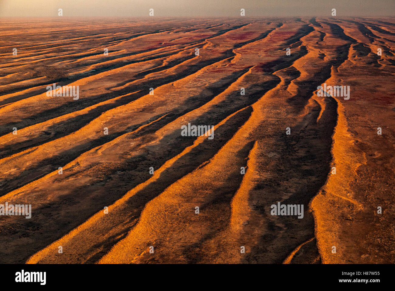Parallel sand dunes in desert, Simpson Desert, Northern Territory ...
