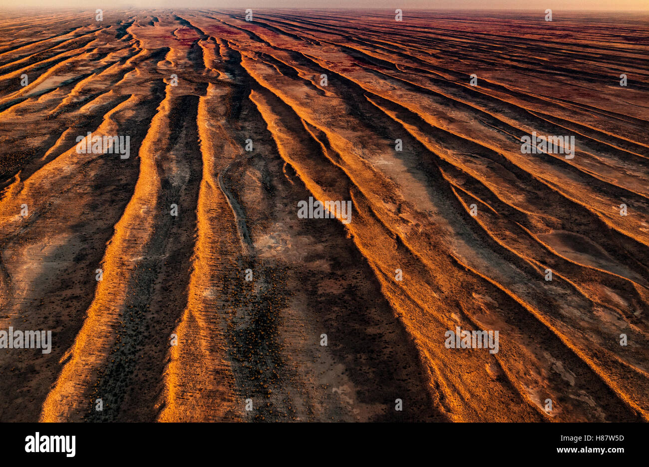 Parallel sand dunes in desert, Simpson Desert, Northern Territory ...