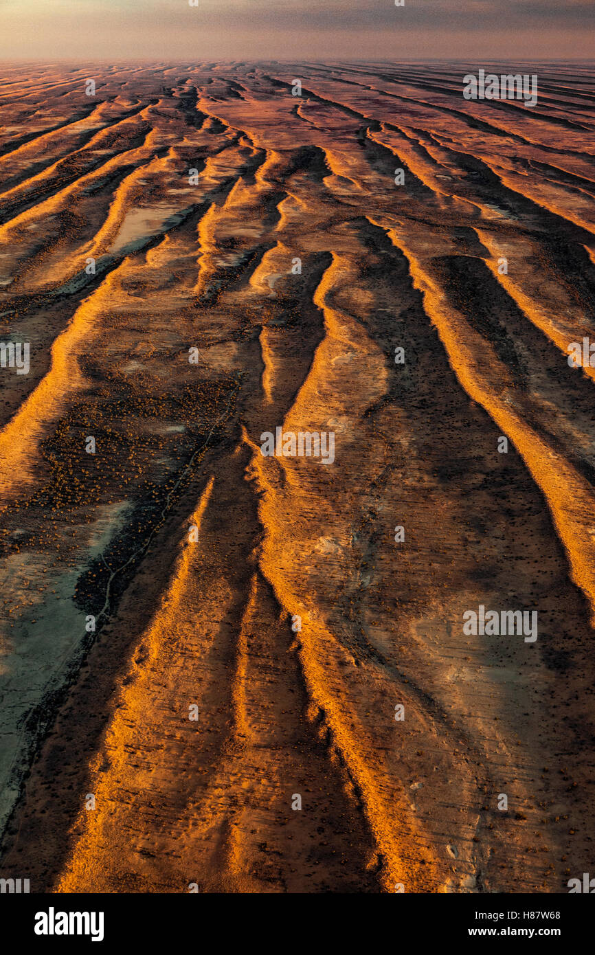 Parallel sand dunes in desert, Simpson Desert, Northern Territory ...