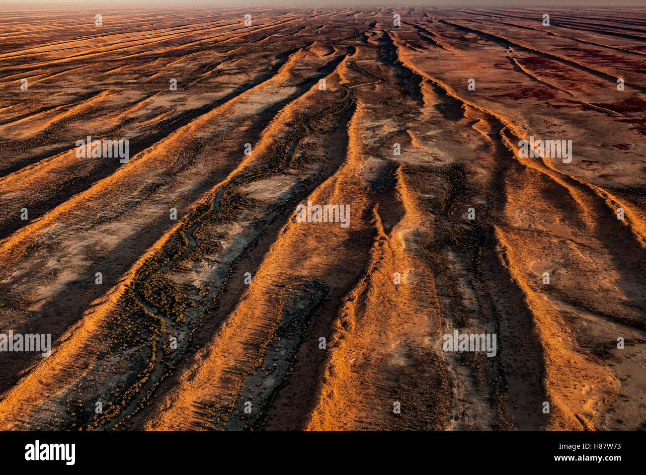 Parallel sand dunes in desert, Simpson Desert, Northern Territory ...