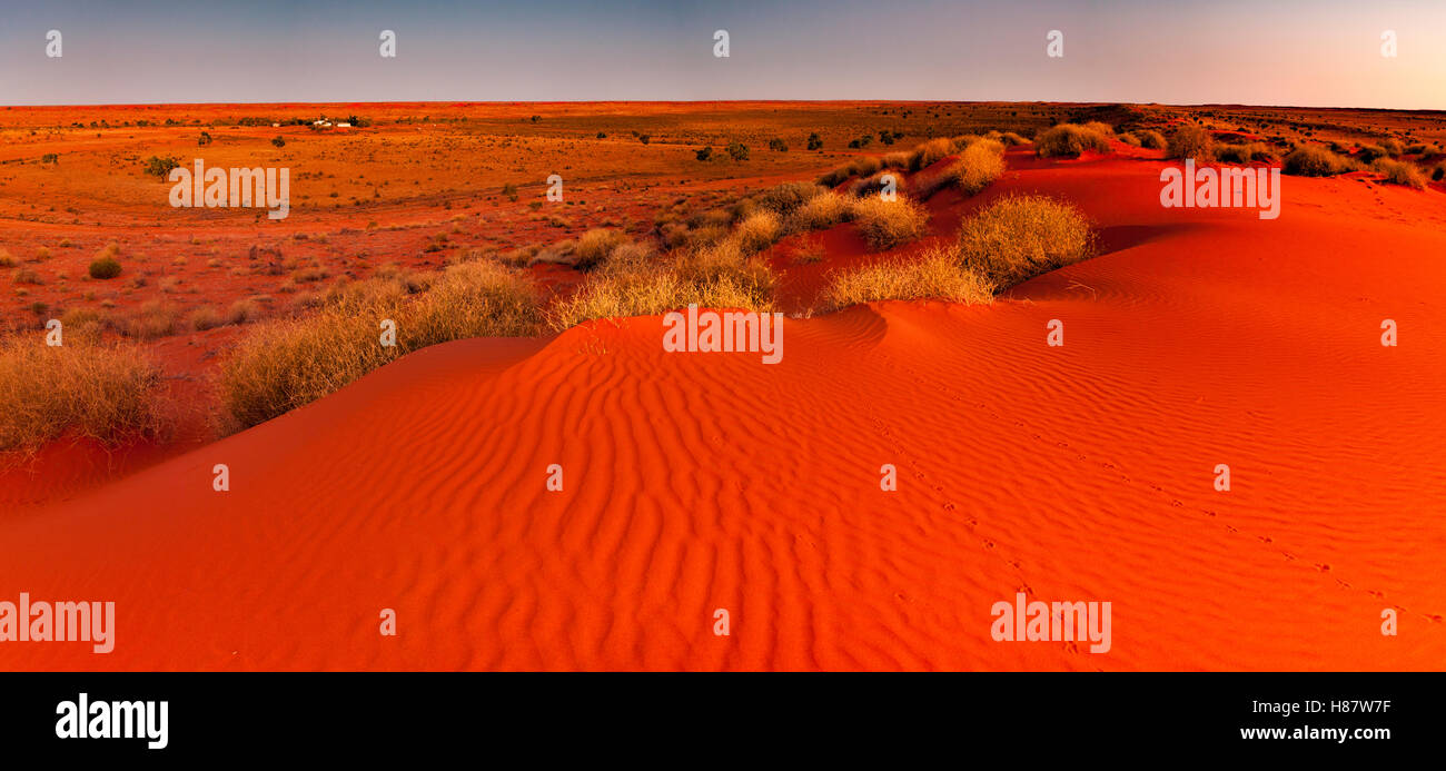Sand dune, Simpson Desert, Northern Territory, Australia Stock Photo ...
