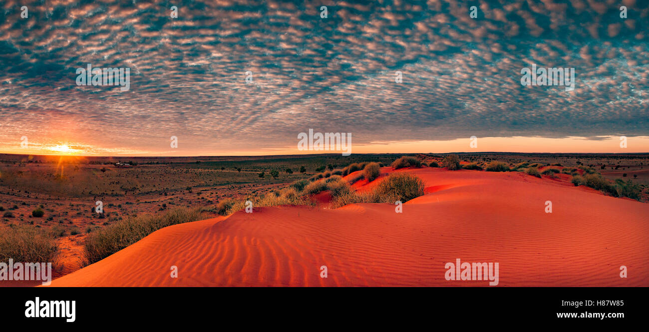 Sand dune at sunrise, Simpson Desert, Northern Territory, Australia ...