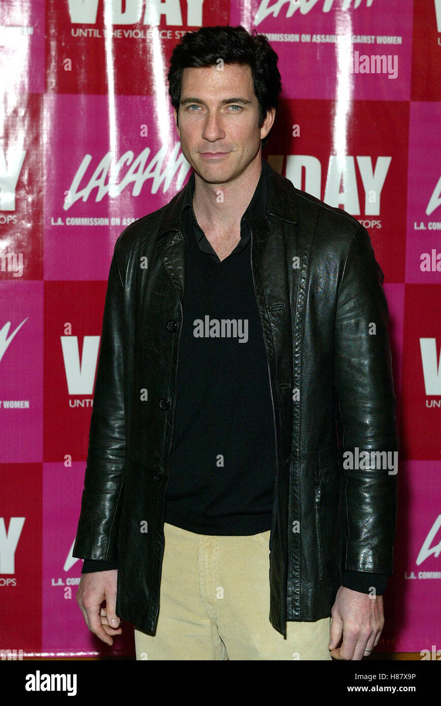 Dylan mcdermott body hi-res stock photography and images - Alamy