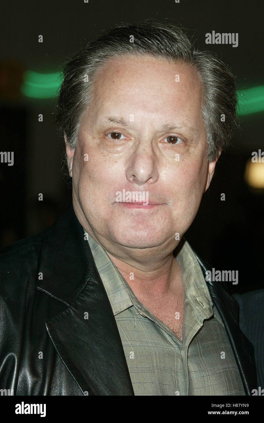 WILLIAM FRIEDKIN THE HUNTED PREMIERE LOS ANGELES MANN VILLAGE THEATRE ...