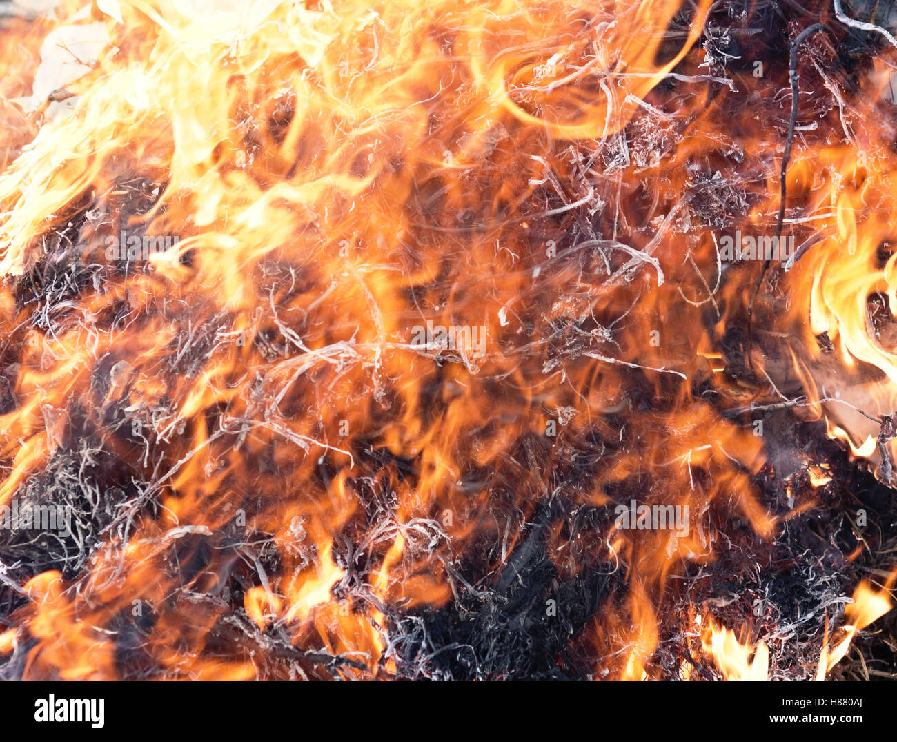 close up of fire Stock Photo - Alamy